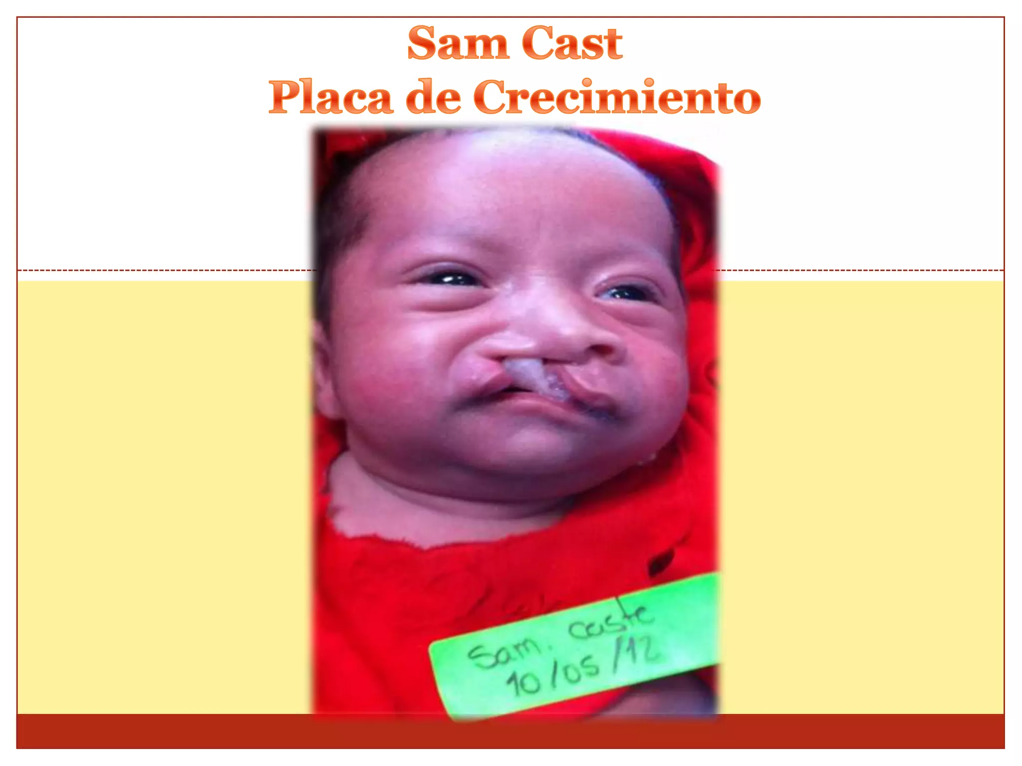 Sam cast presentacion 2013 | PPT