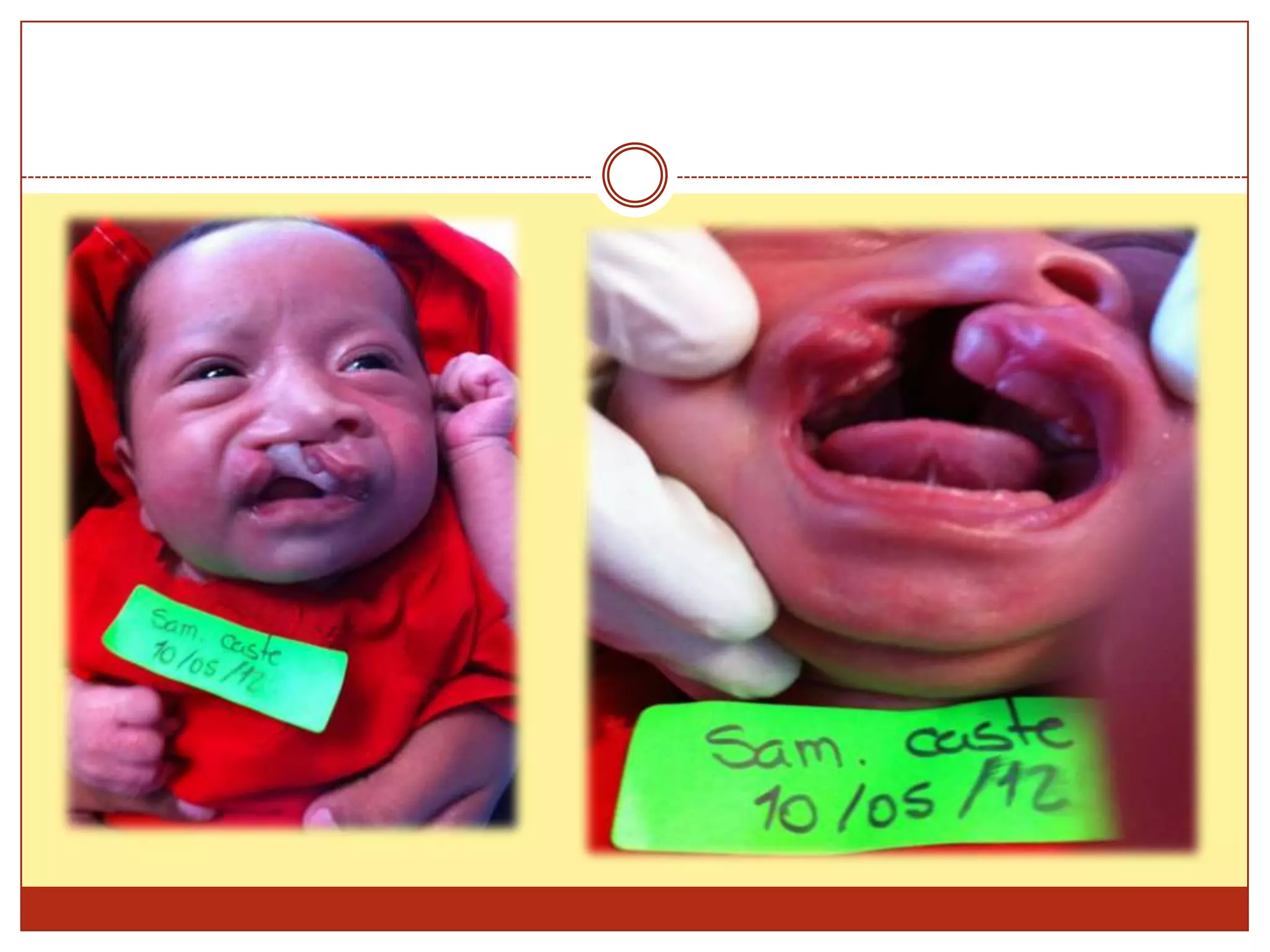 Sam cast presentacion 2013 | PPTX