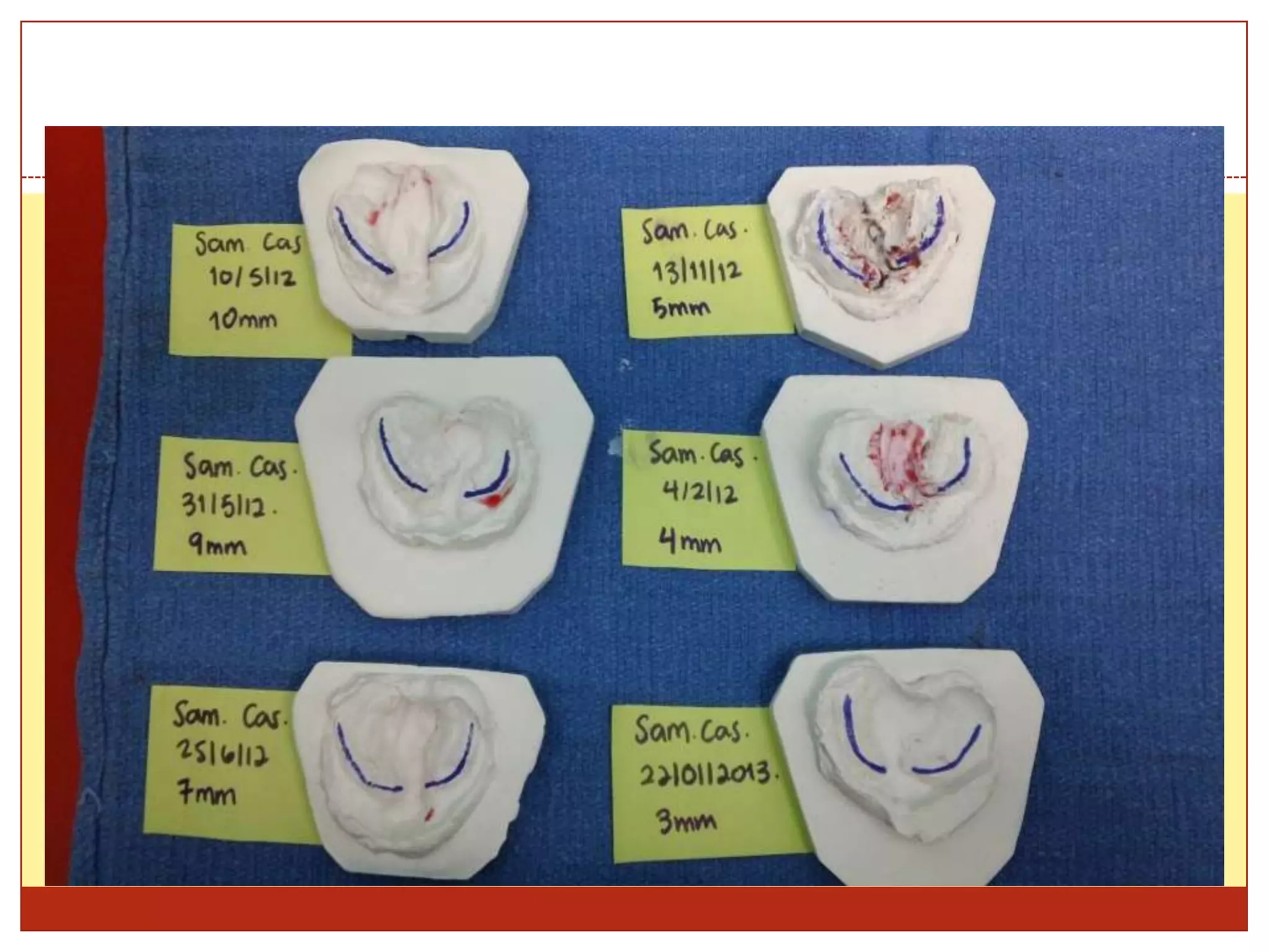 Sam cast presentacion 2013 | PPTX