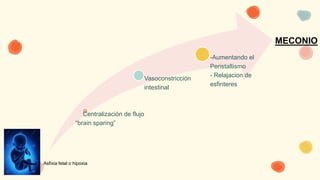 Síndrome. De aspiración. De meconio.pptx