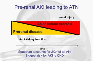 Dr Damian Fogarty: Renal Failure-Detecting, Averting, Managing. | PPT