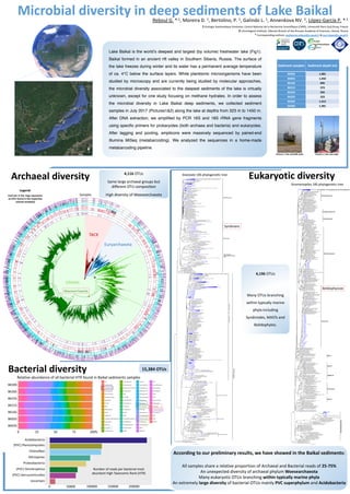 Microbial diversity in deep sediments of Lake Baikal | PDF | Biological Sciences | Science