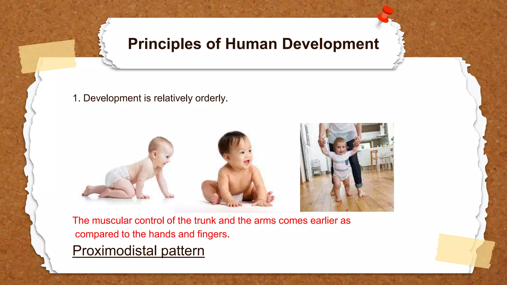 sameco-bulletin-board.pptx