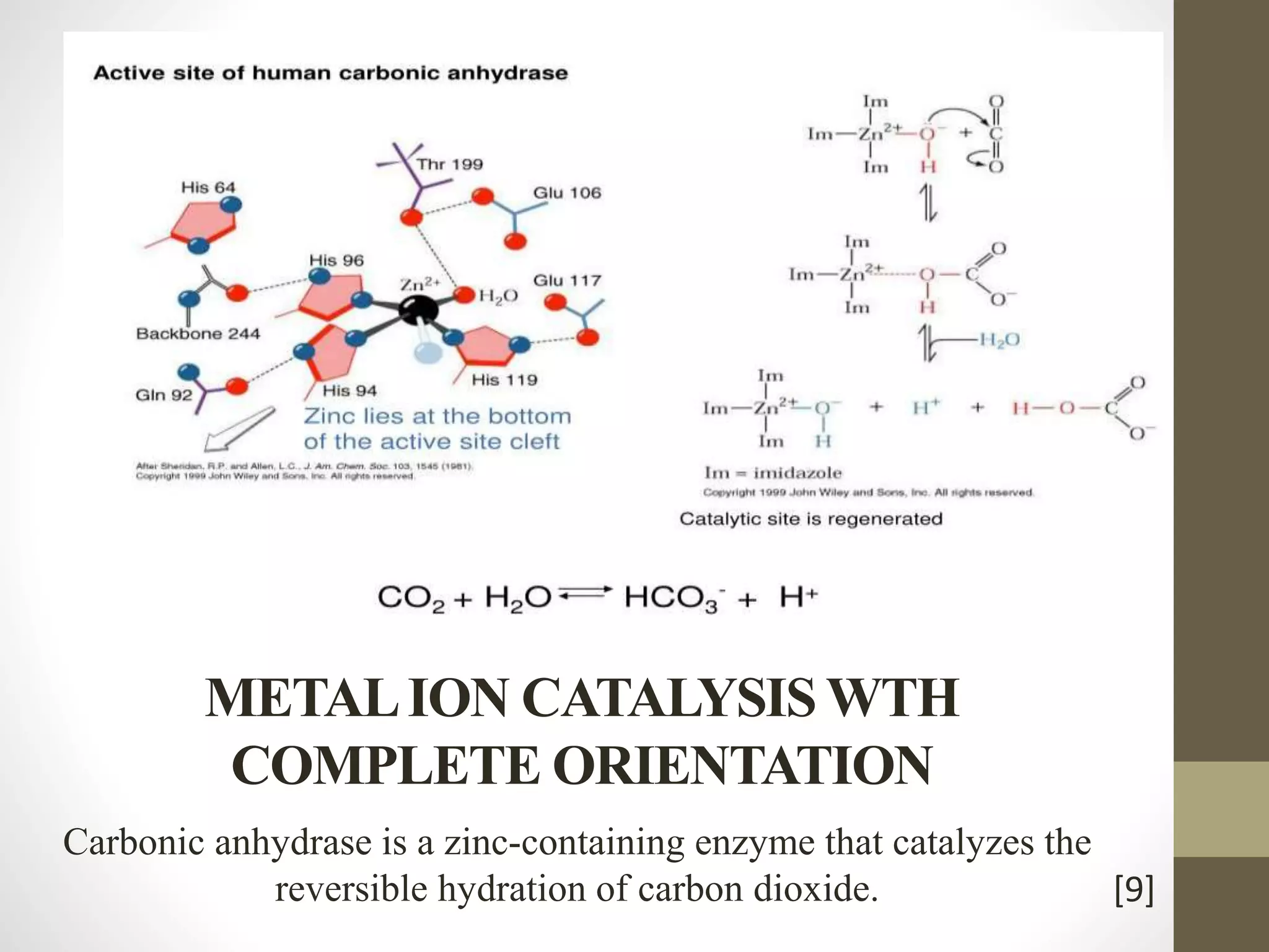 metal ion catalysis.pptx | Chemistry | Science