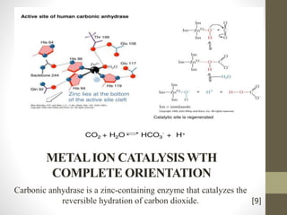 metal ion catalysis.pptx