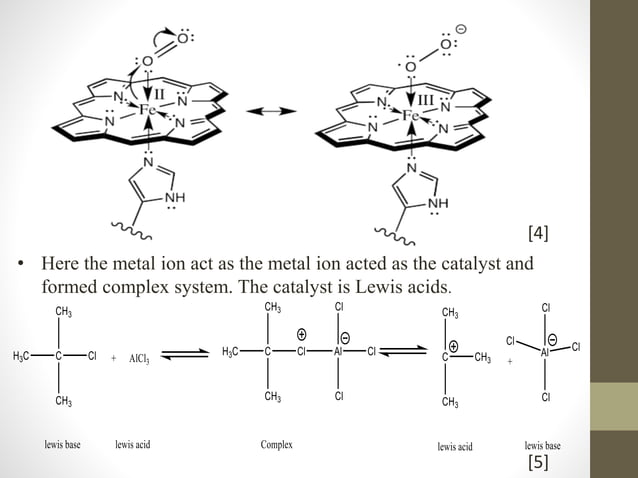 metal ion catalysis.pptx | Chemistry | Science