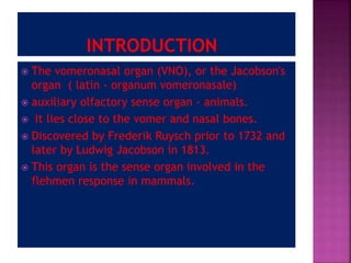 vomeronasal organ vestigeal part of boy | PPTX