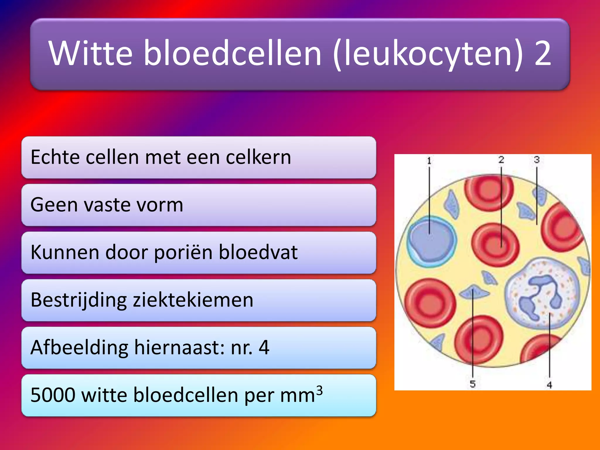 Samenstelling bloed | PPTX