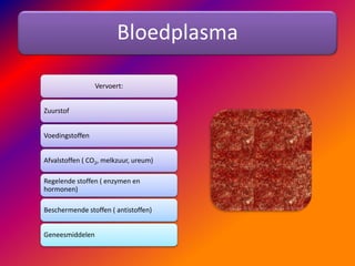 Samenstelling bloed | PPTX