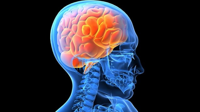 Same Origin Method Execution Blackhat Eu2014