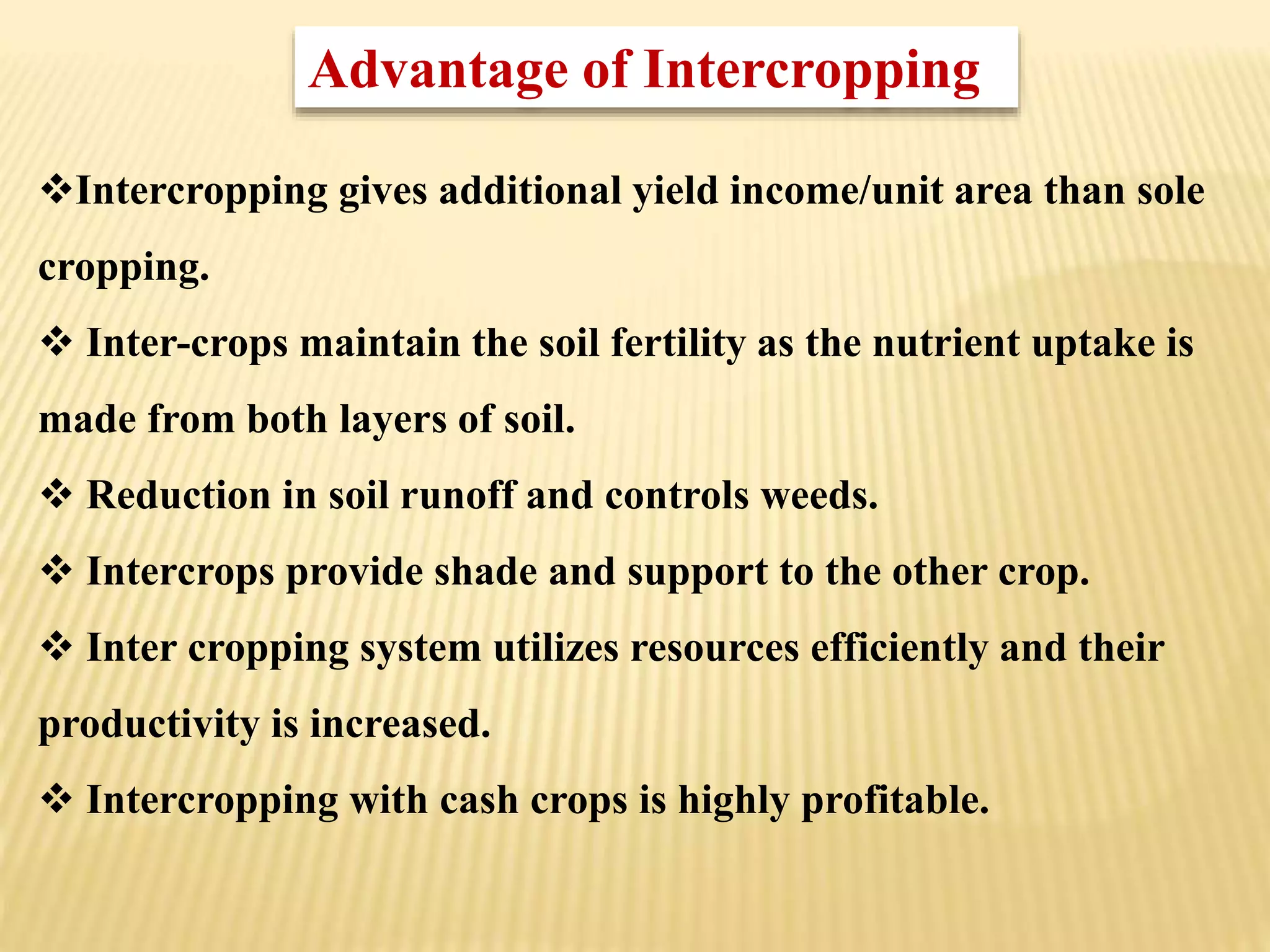 Intercropping in fruit crops | PPTX