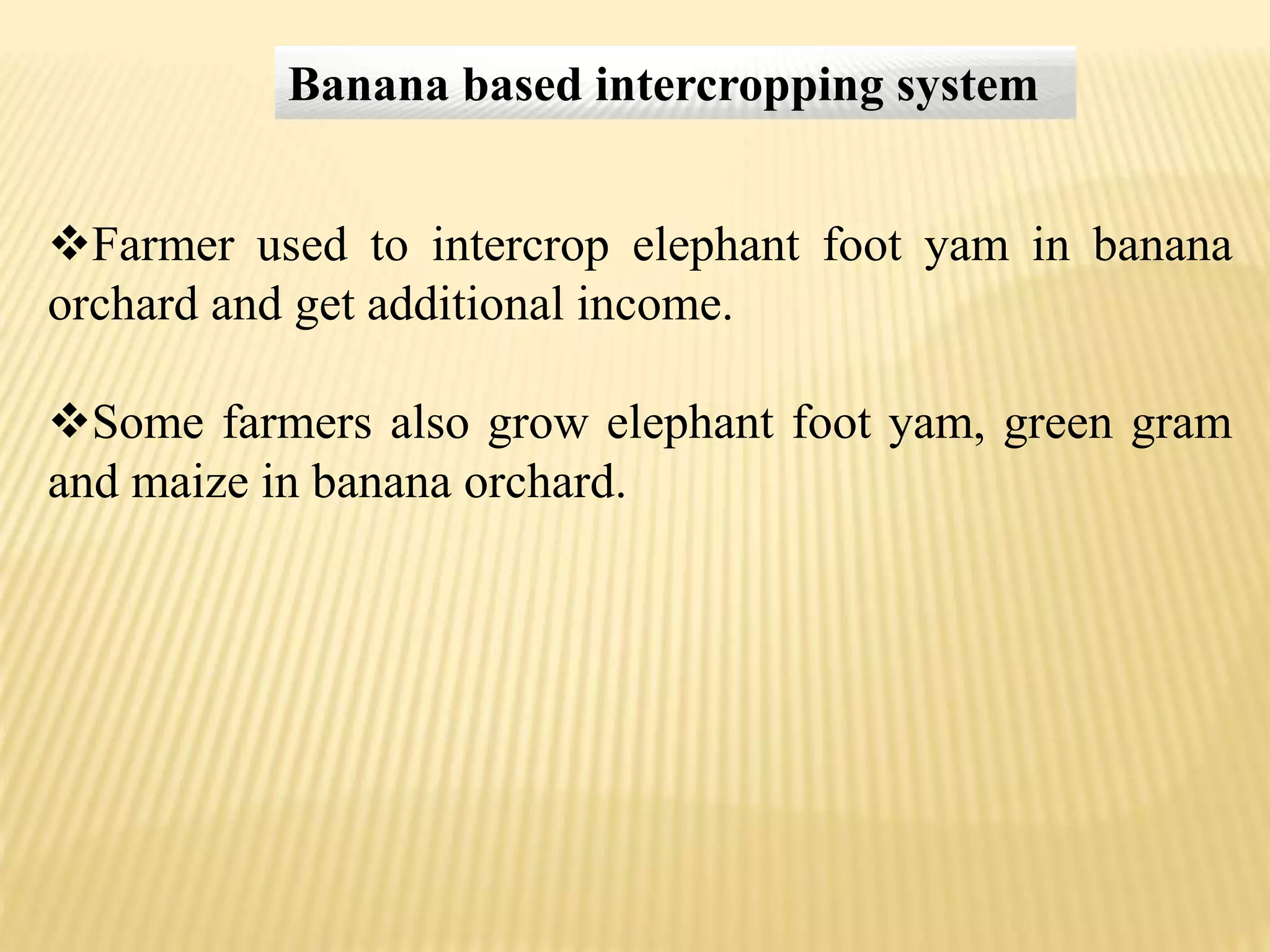 Intercropping in fruit crops | PPTX