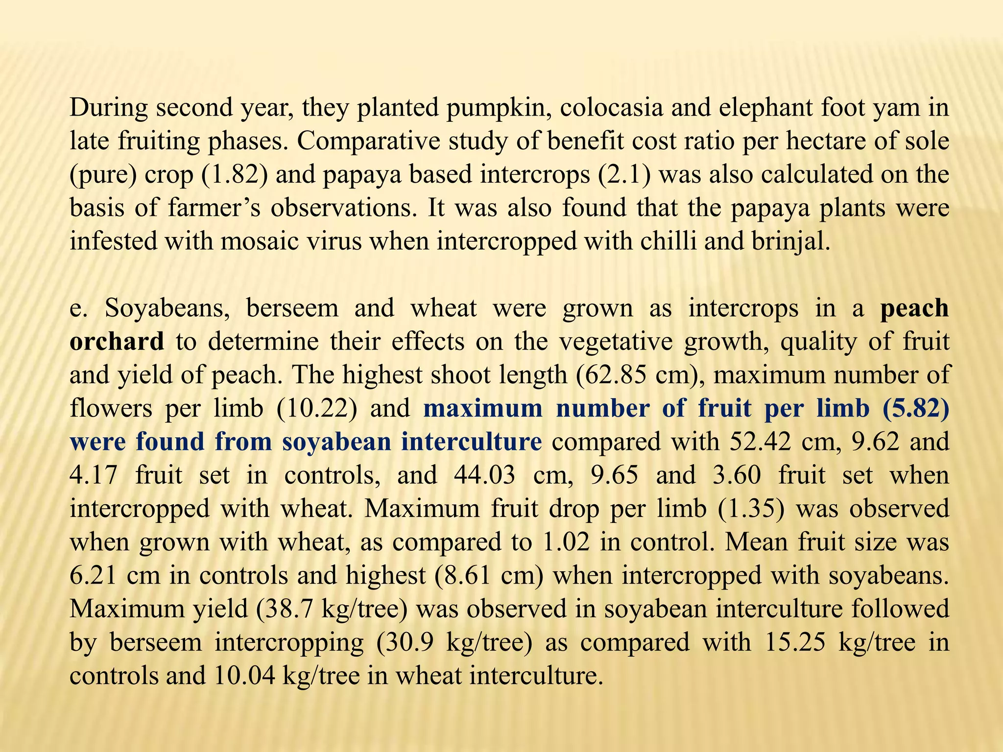 Intercropping in fruit crops | PPTX
