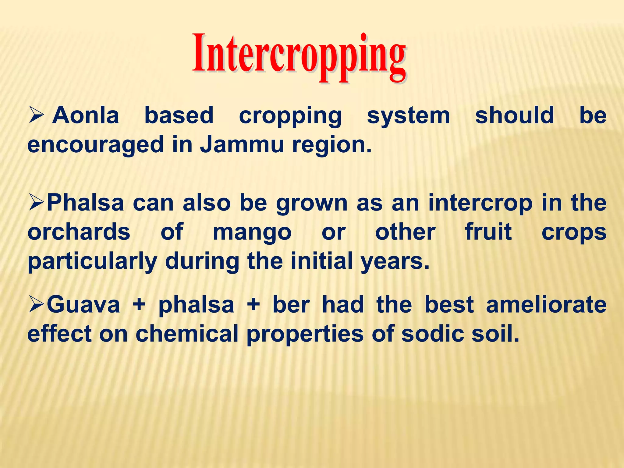 Intercropping in fruit crops | PPTX