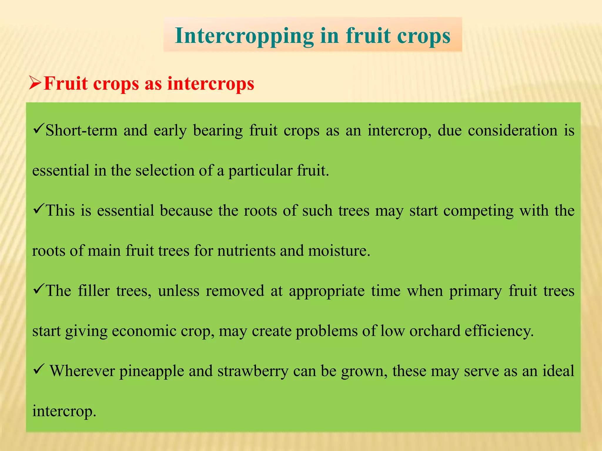 Intercropping in fruit crops | PPTX