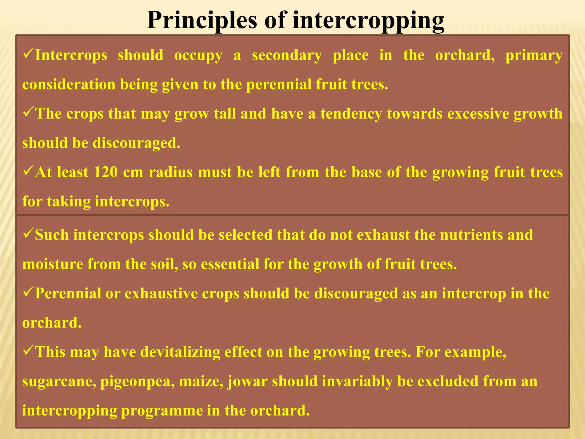 Intercropping in fruit crops | PPTX