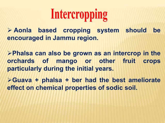 Intercropping in fruit crops | PPTX | Agriculture | Industries
