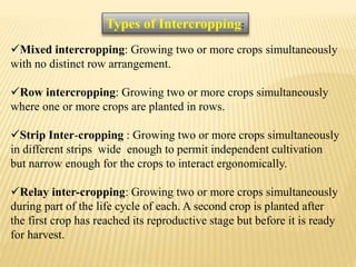 Intercropping in fruit crops | PPTX