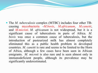 Sam higgimbottom institute of agriculture technology and sciences | PPT