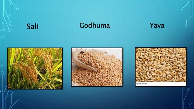 Concept of pathya and apathya ahara | PPTX | Hinduism | Religion ...