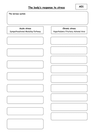 Sam & hpa note sheet | PDF