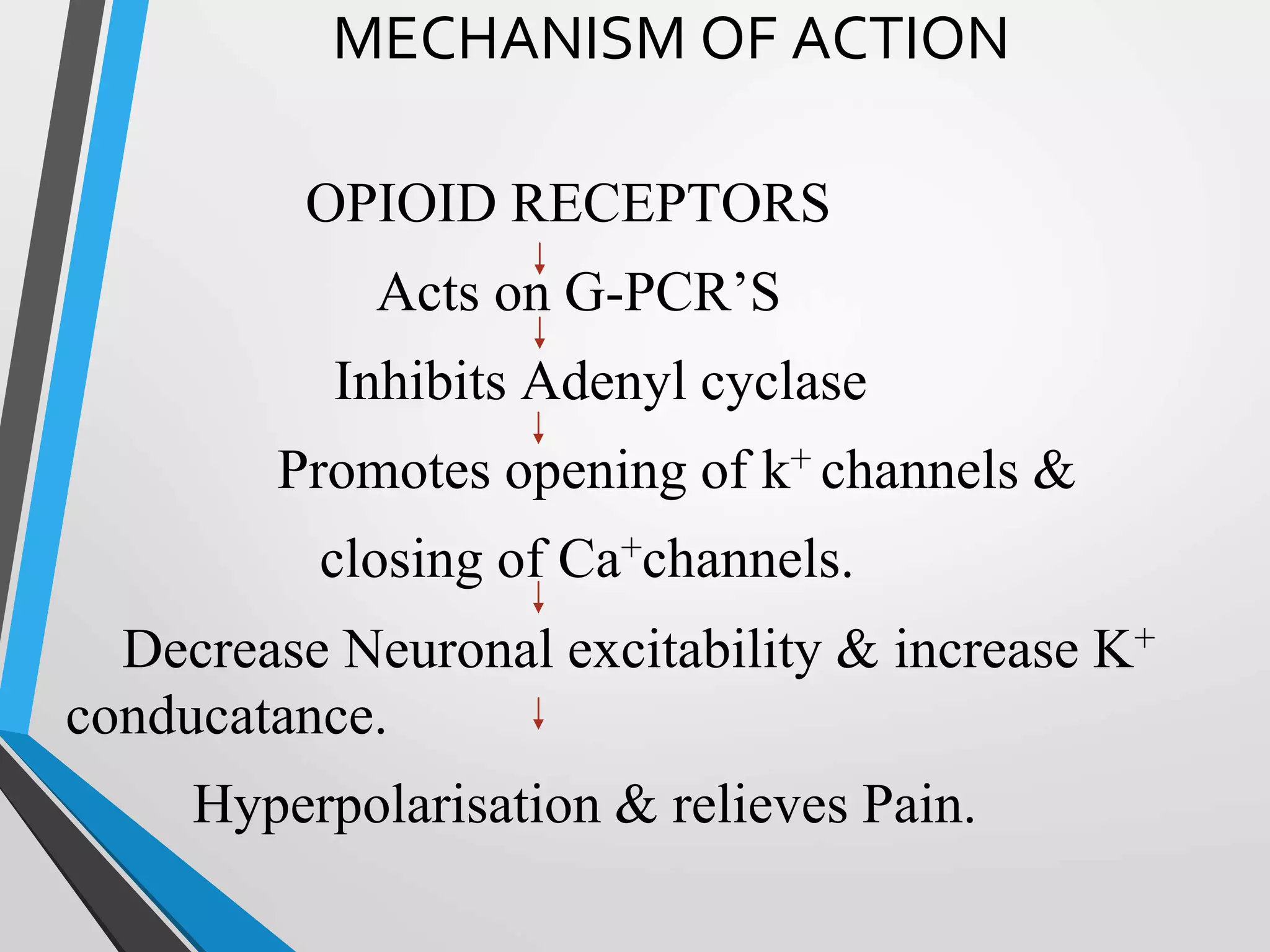 A REVIEW ON OPIOID RECEPTORS | PPTX