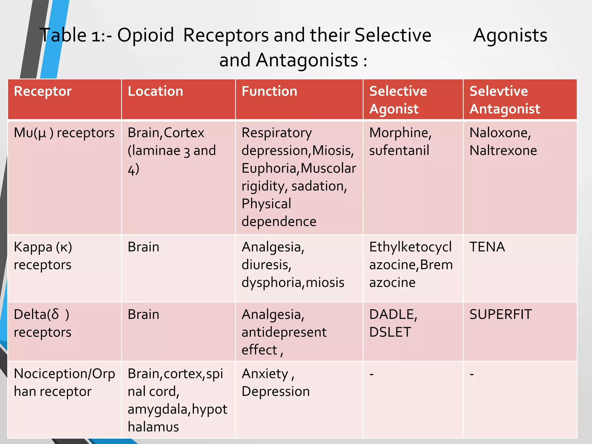 A REVIEW ON OPIOID RECEPTORS | PPTX