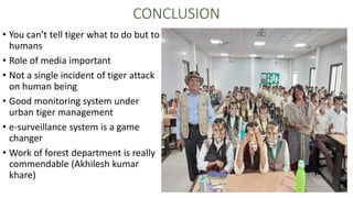 urban tiger of bhopal,madhya pradesh.pptx