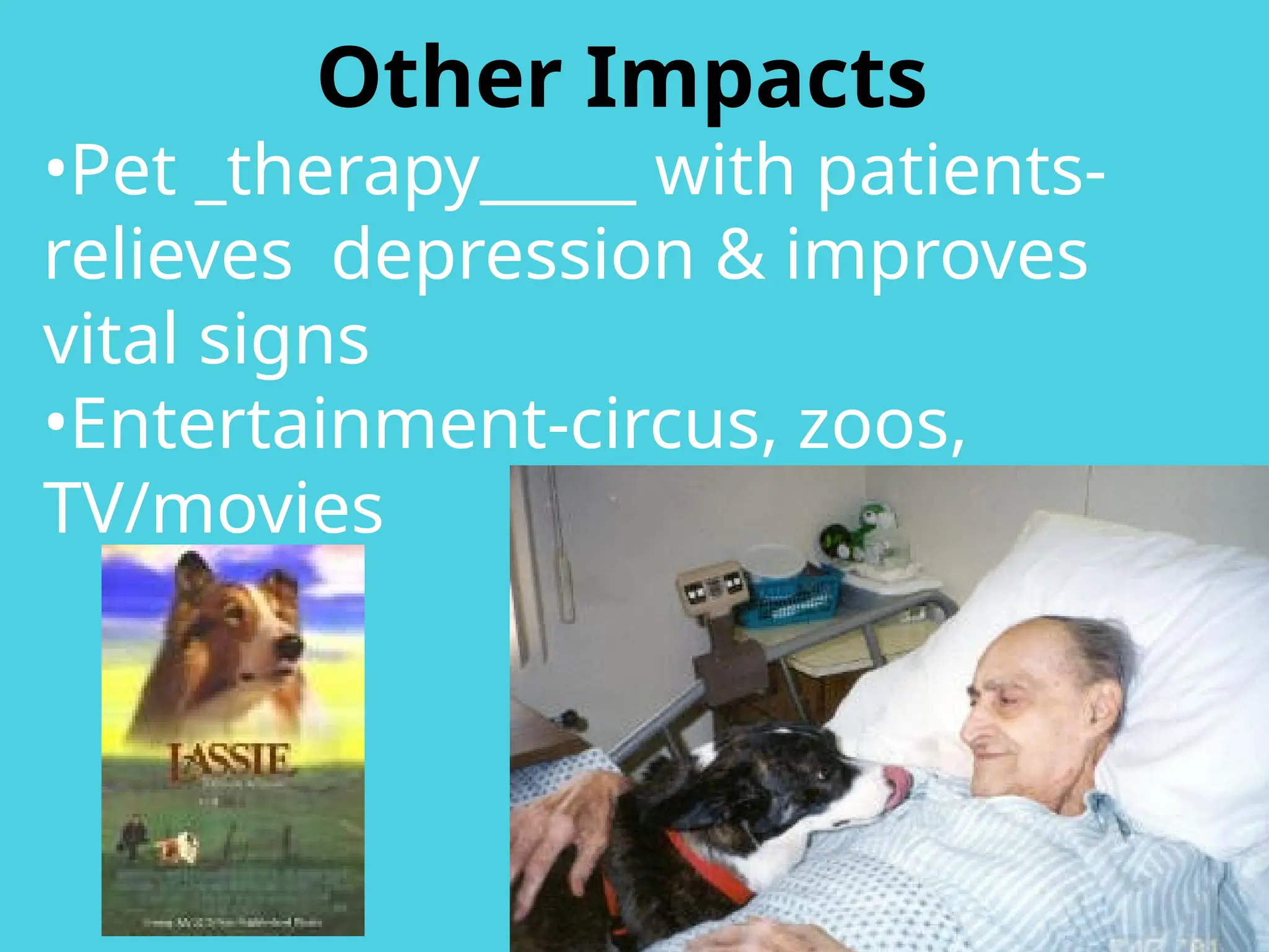 Small Animal Management Industry Notes.pptx | Free Download