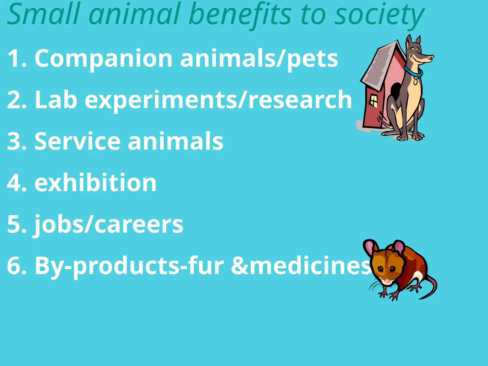 Small Animal Management Industry Notes.pptx