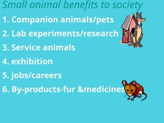 Small Animal Management Industry Notes.pptx