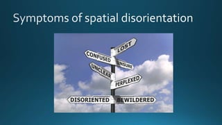 spatial disorientation | PPTX
