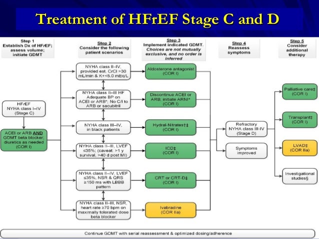 Samir rafla acute heart failure- guidelines 2017