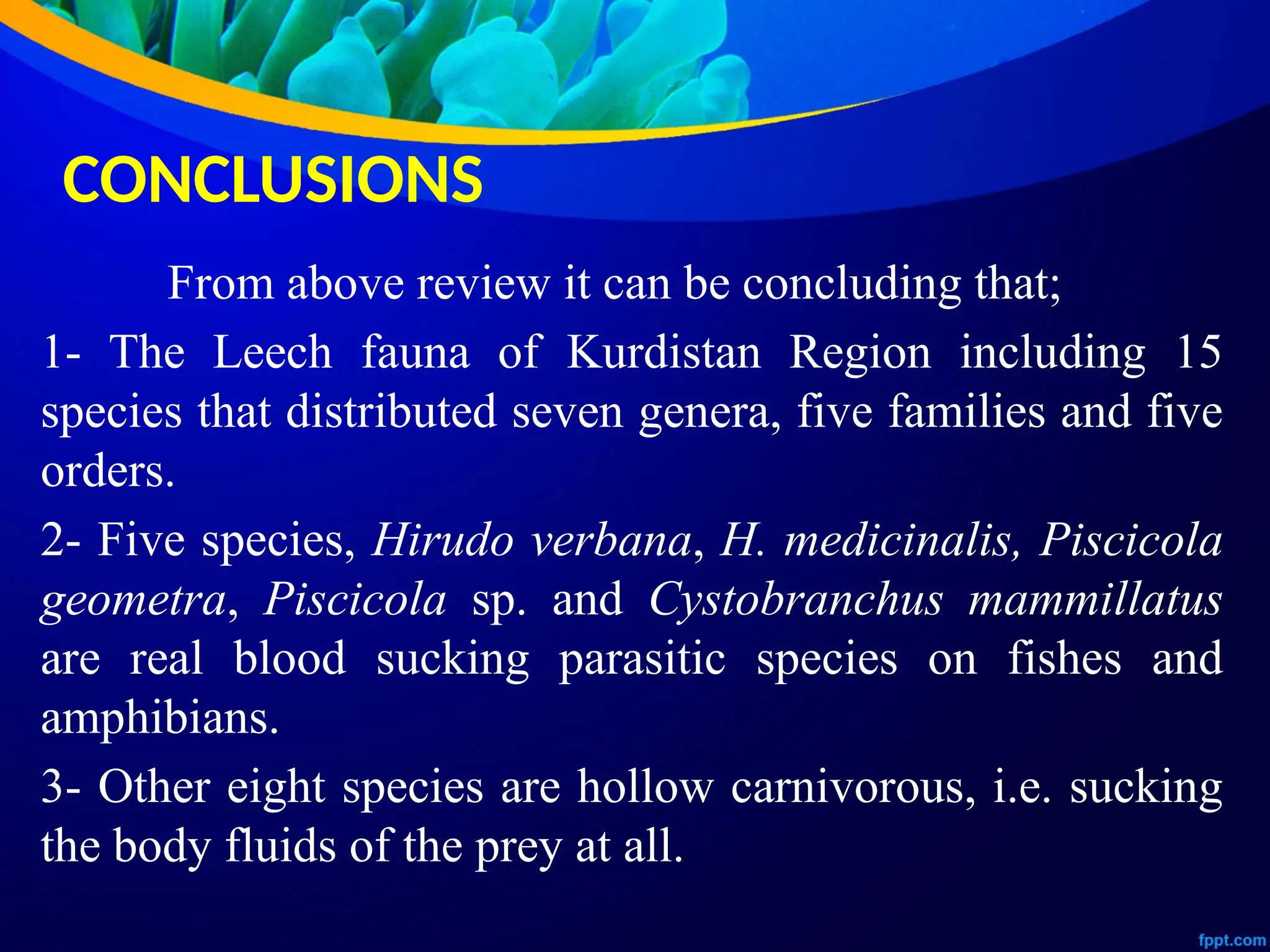 Leeches fauna in Kurdistan and Iraq.pptx