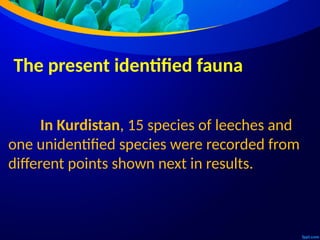 Leeches fauna in Kurdistan and Iraq.pptx