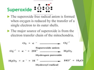 FREE RADICALS & ANTIOXIDANTS | PPTX