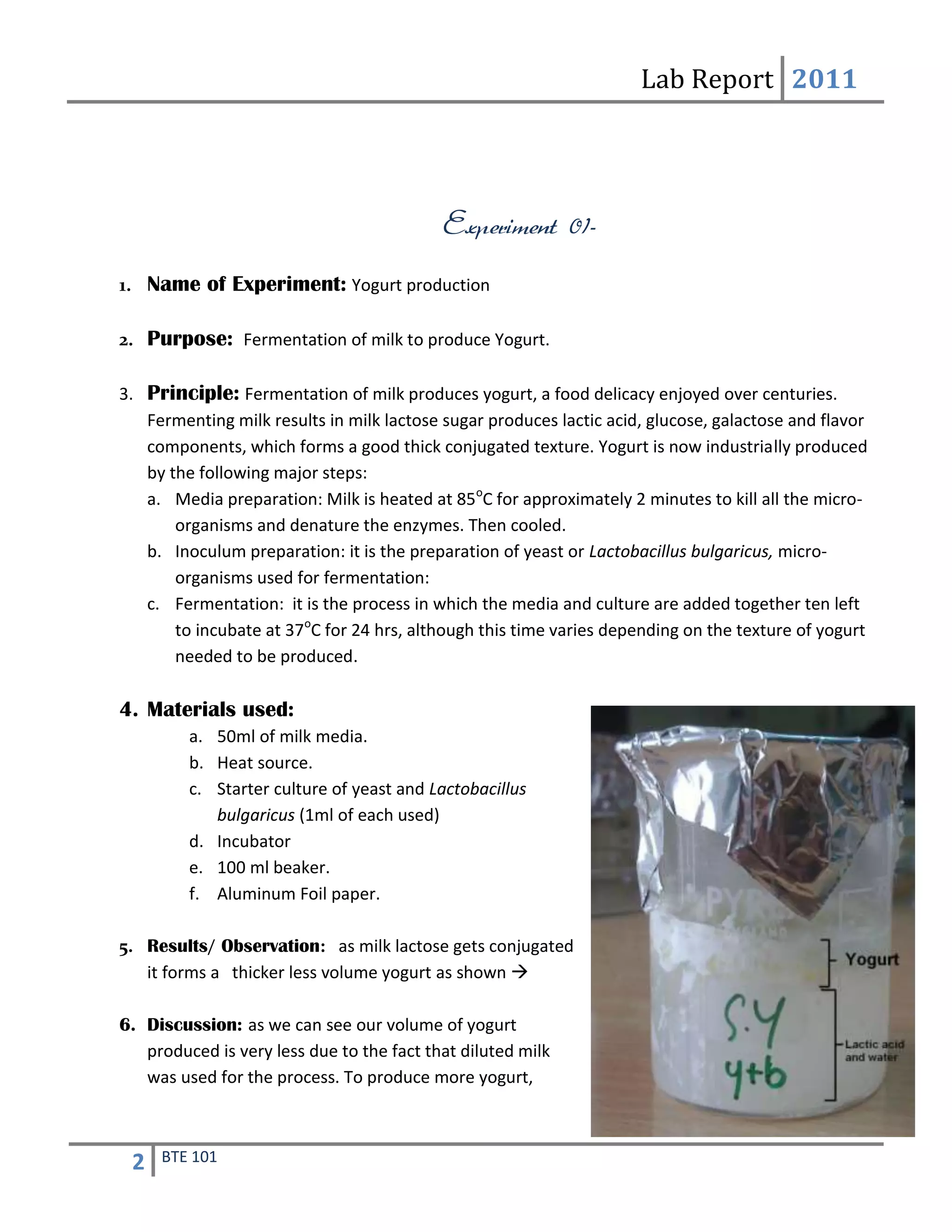 BTE101 lab report | DOCX | Chemistry | Science