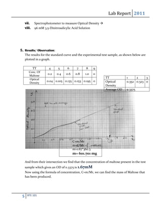 BTE101 lab report | DOCX