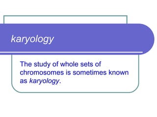 karyotype by S@M | PPT