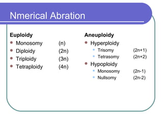 karyotype by S@M | PPT