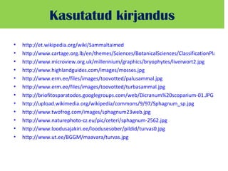 Sammaltaimed | PPT