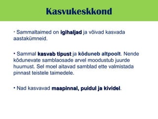 Sammaltaimed | PPT