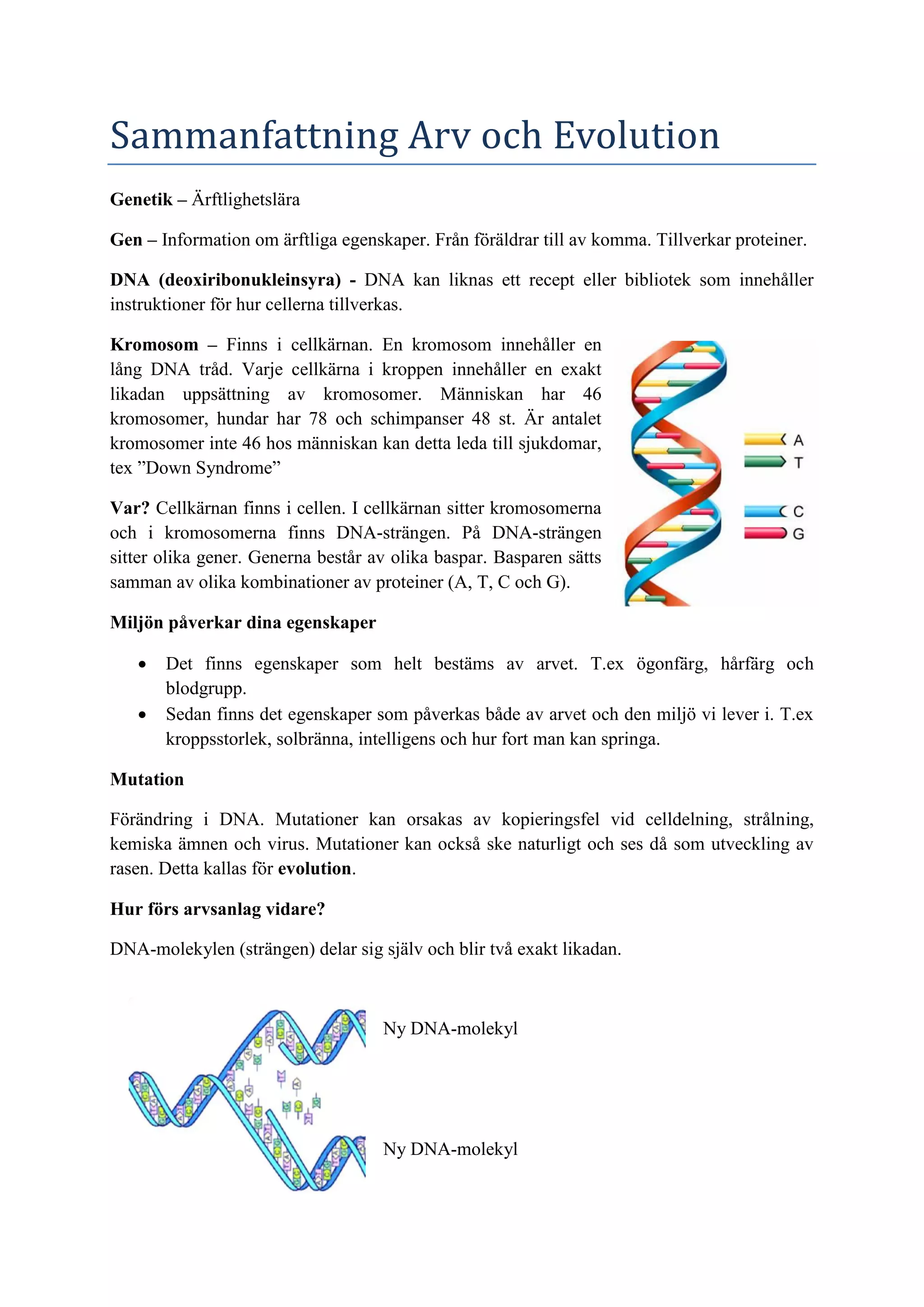 Sammanfattning arv och evolution | PDF