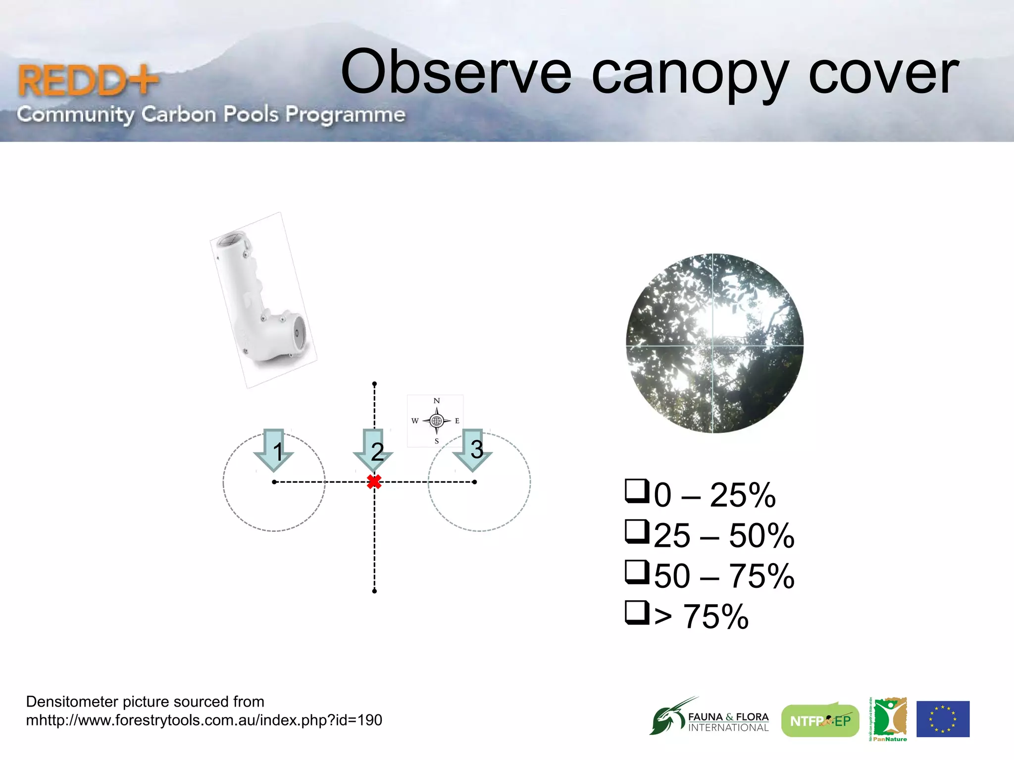 Measuring Forest Carbon Stock | PPT
