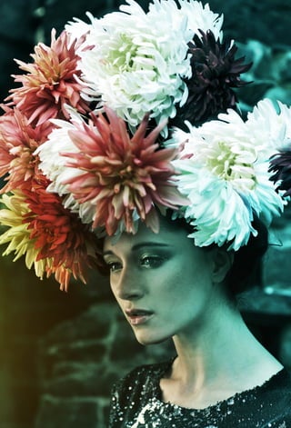 *Brazen beauty* | PPT