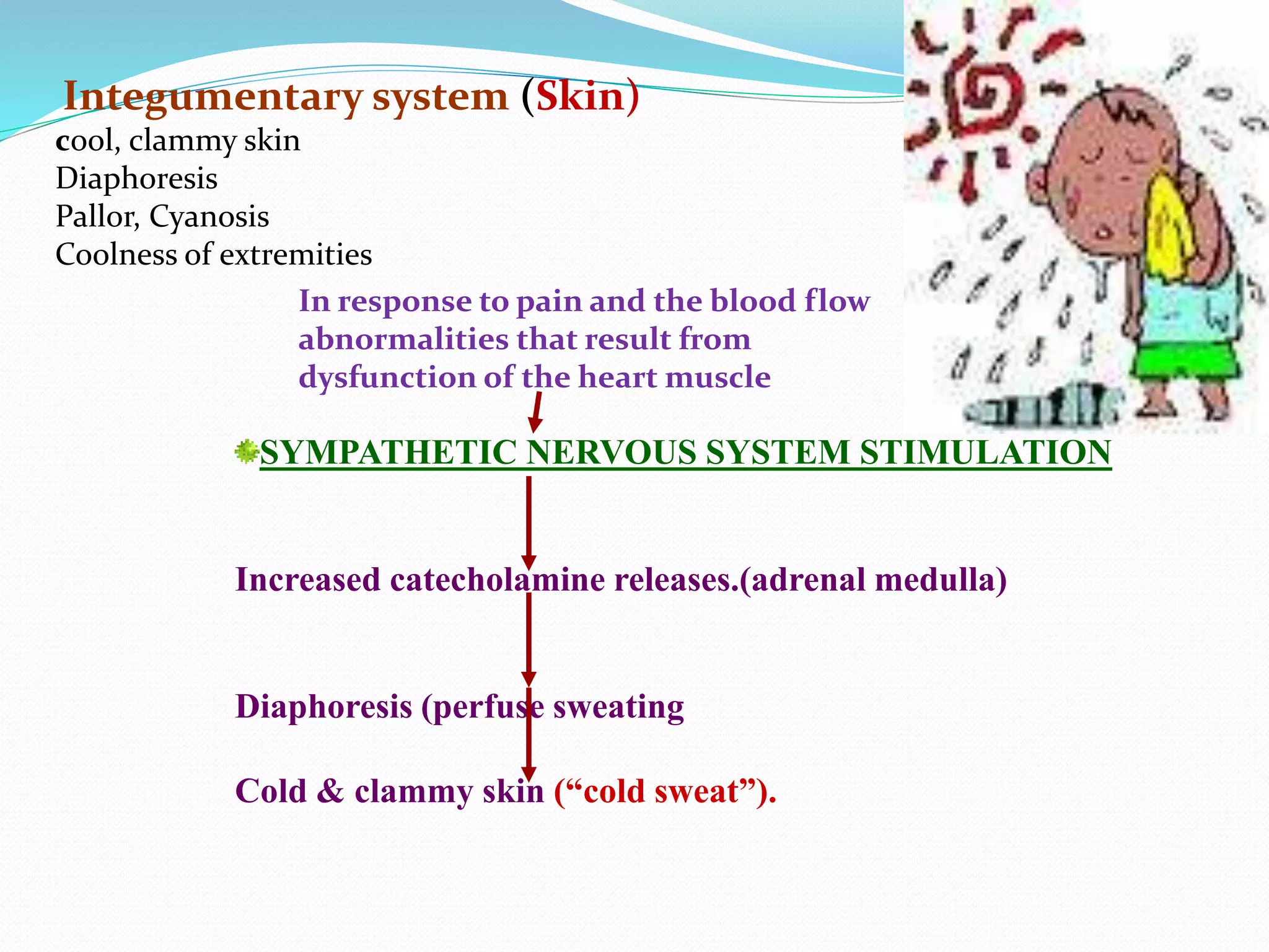 power point myocardial infaction | PDF | Heart and Cardiovascular ...
