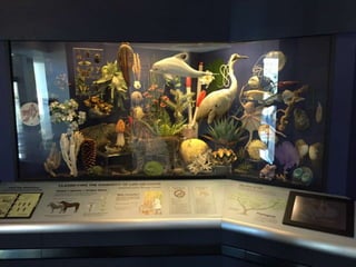 Sam noble museum pictures | PPT