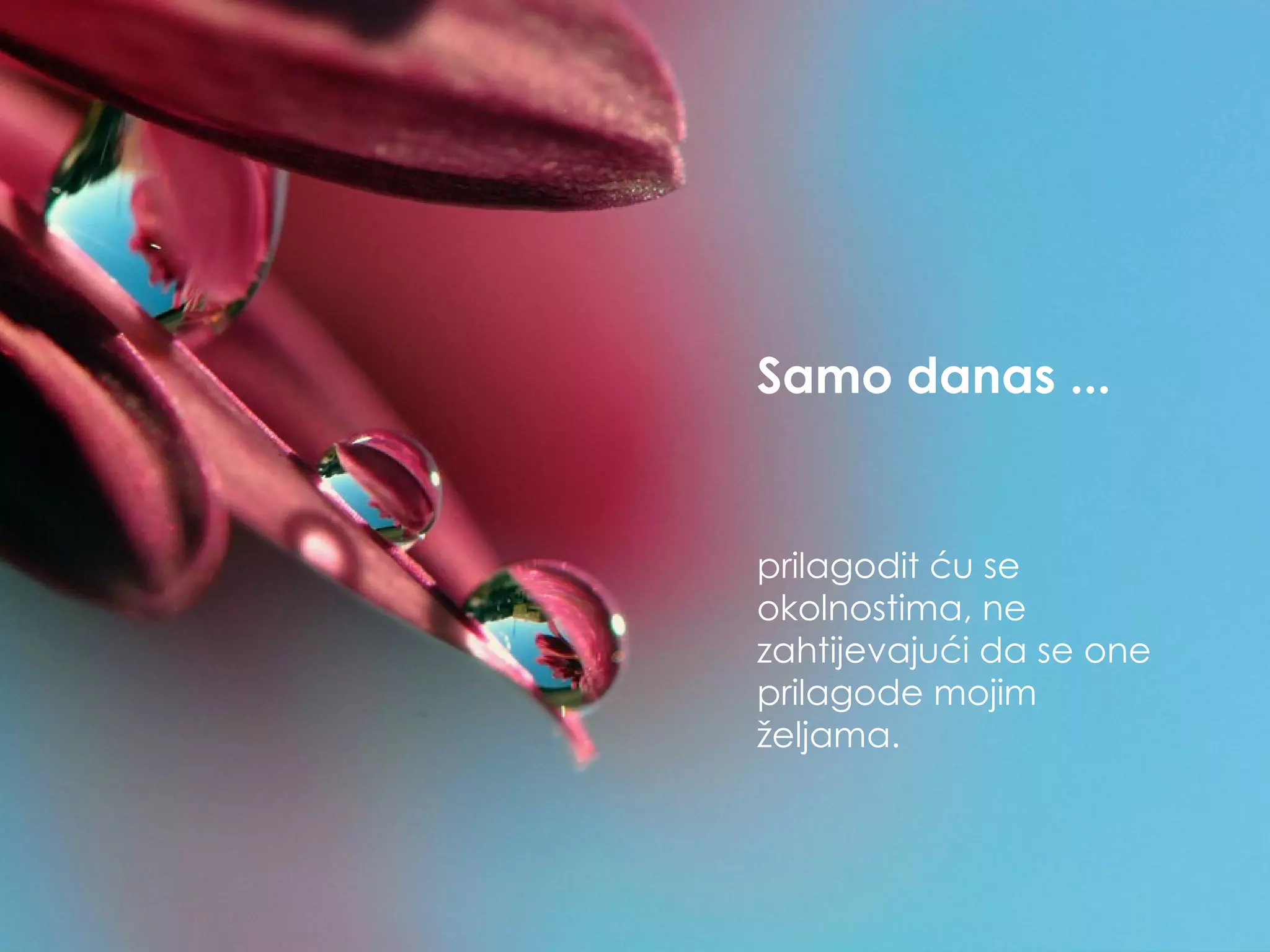 Samo Danas... | PPT