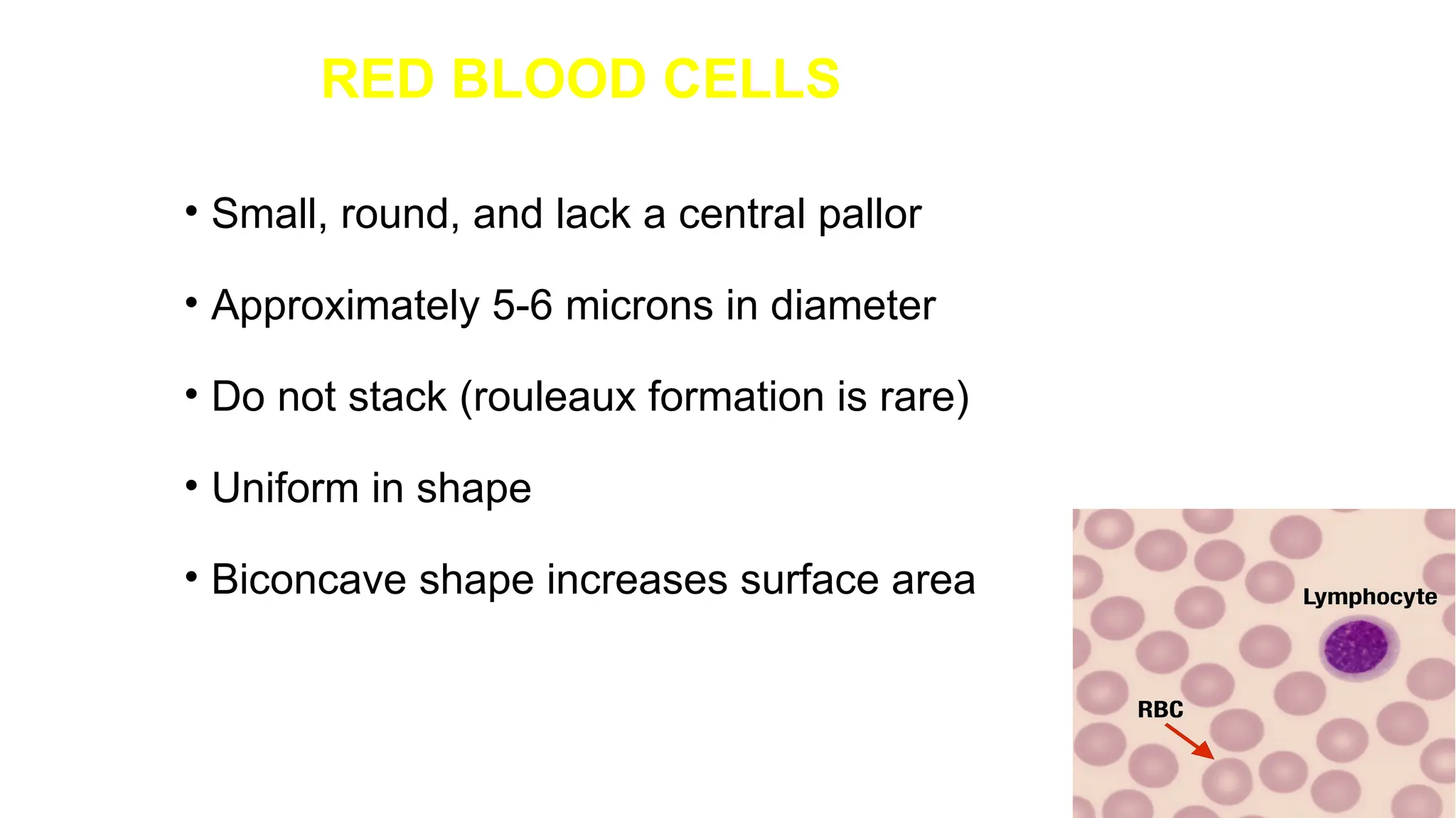 theleria and babesia in equine disease.pptx