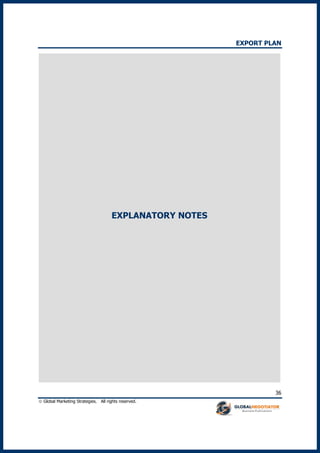EXPORT PLAN - Template and Example | PDF